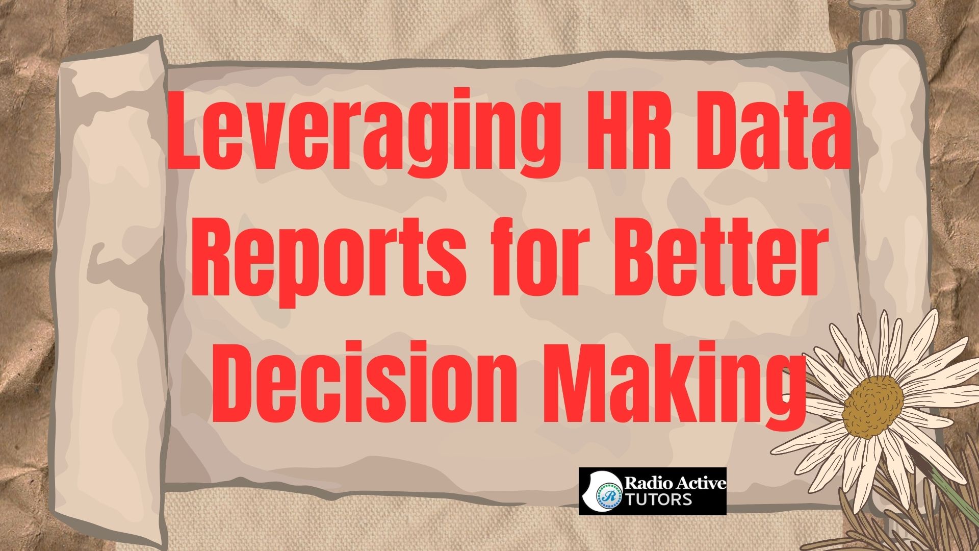 Leveraging HR Data Reports for Better Decision Mak